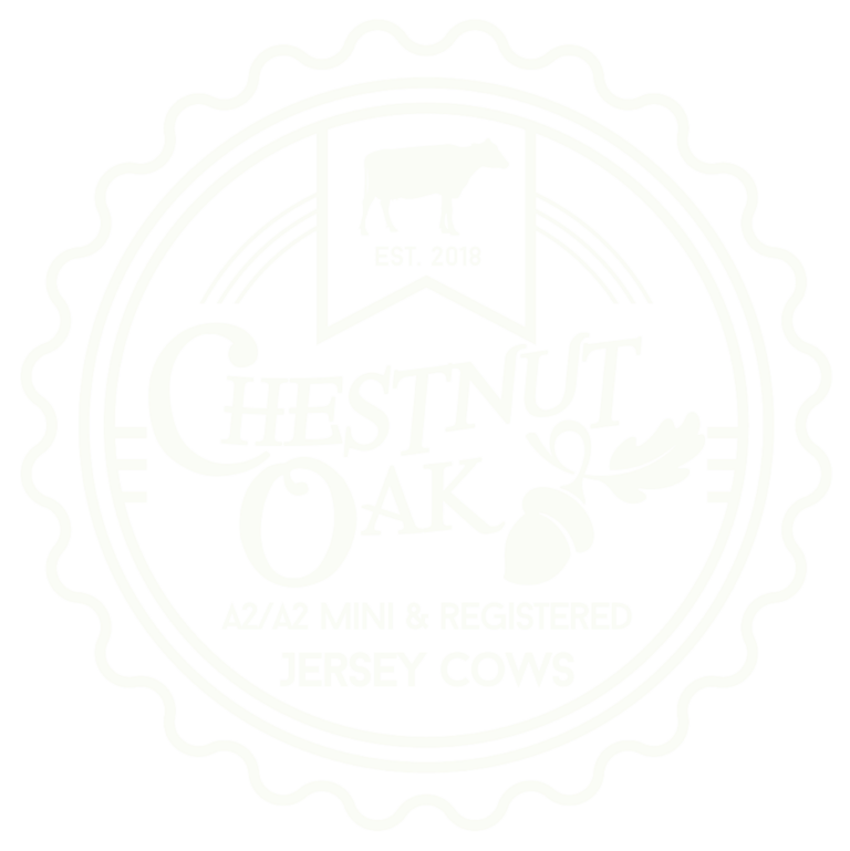 Cows For Sale - Chestnut Oak Minis